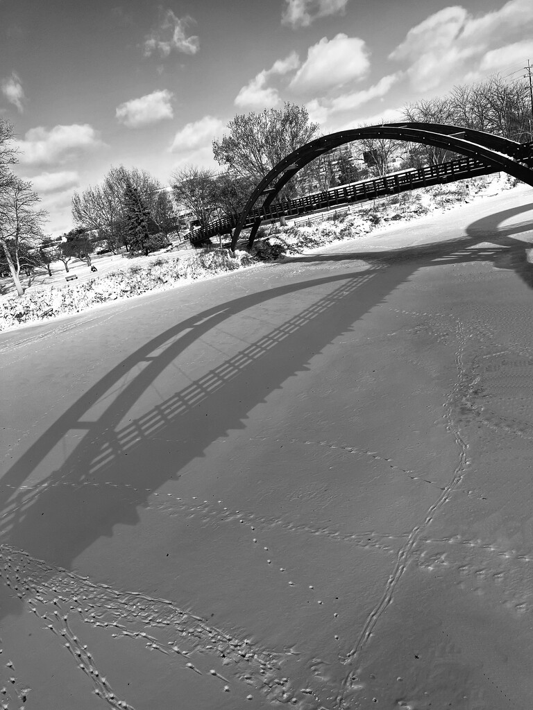 lines&shadows by amyK · 365 Project