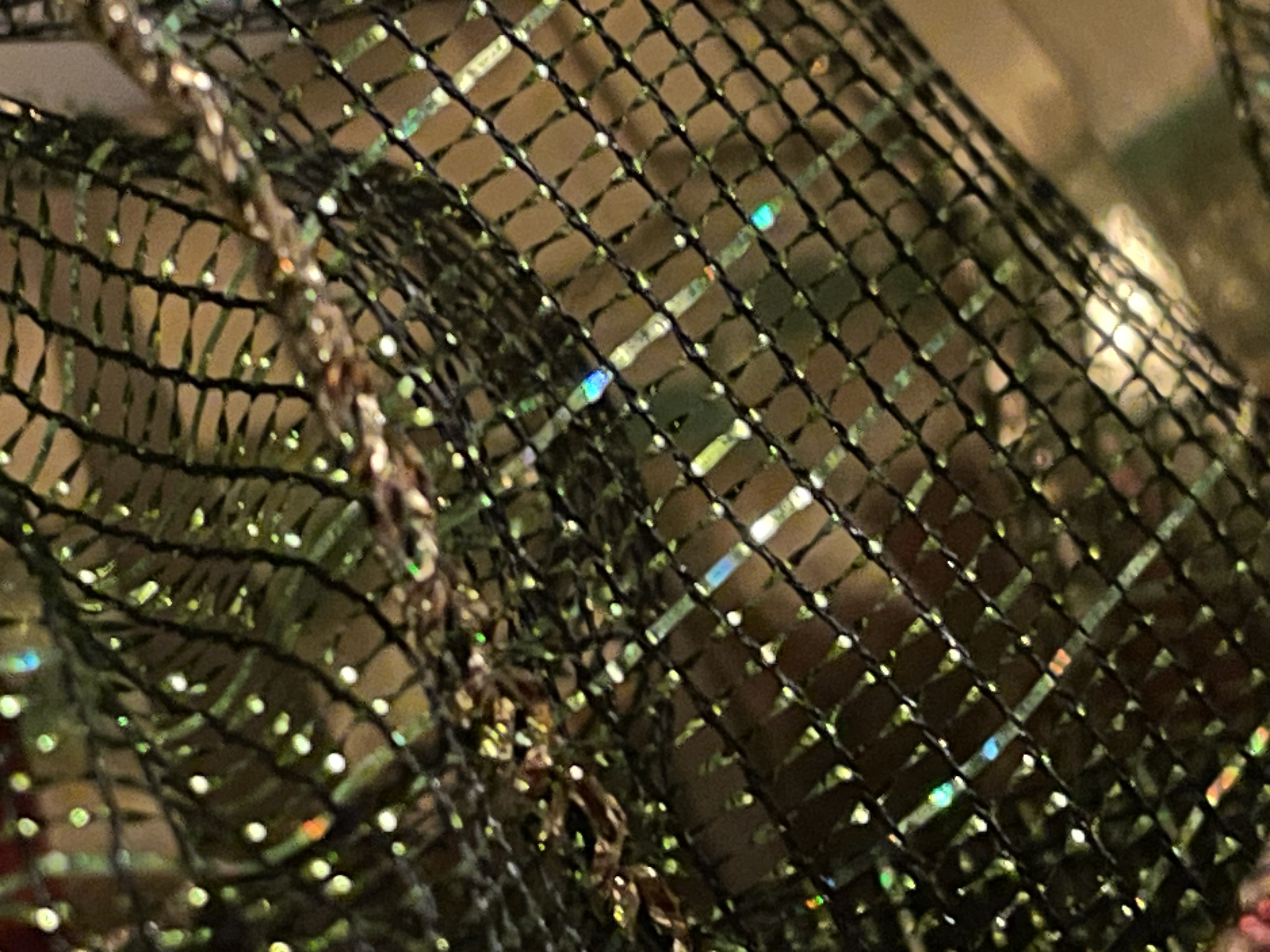 Ribbon 1 by Mary Siegle · 365 Project