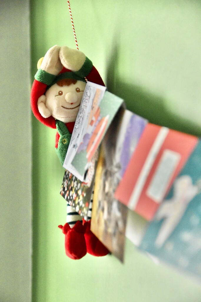 Zip Wire Sprig by Casablanca 🇬🇧 · 365 Project