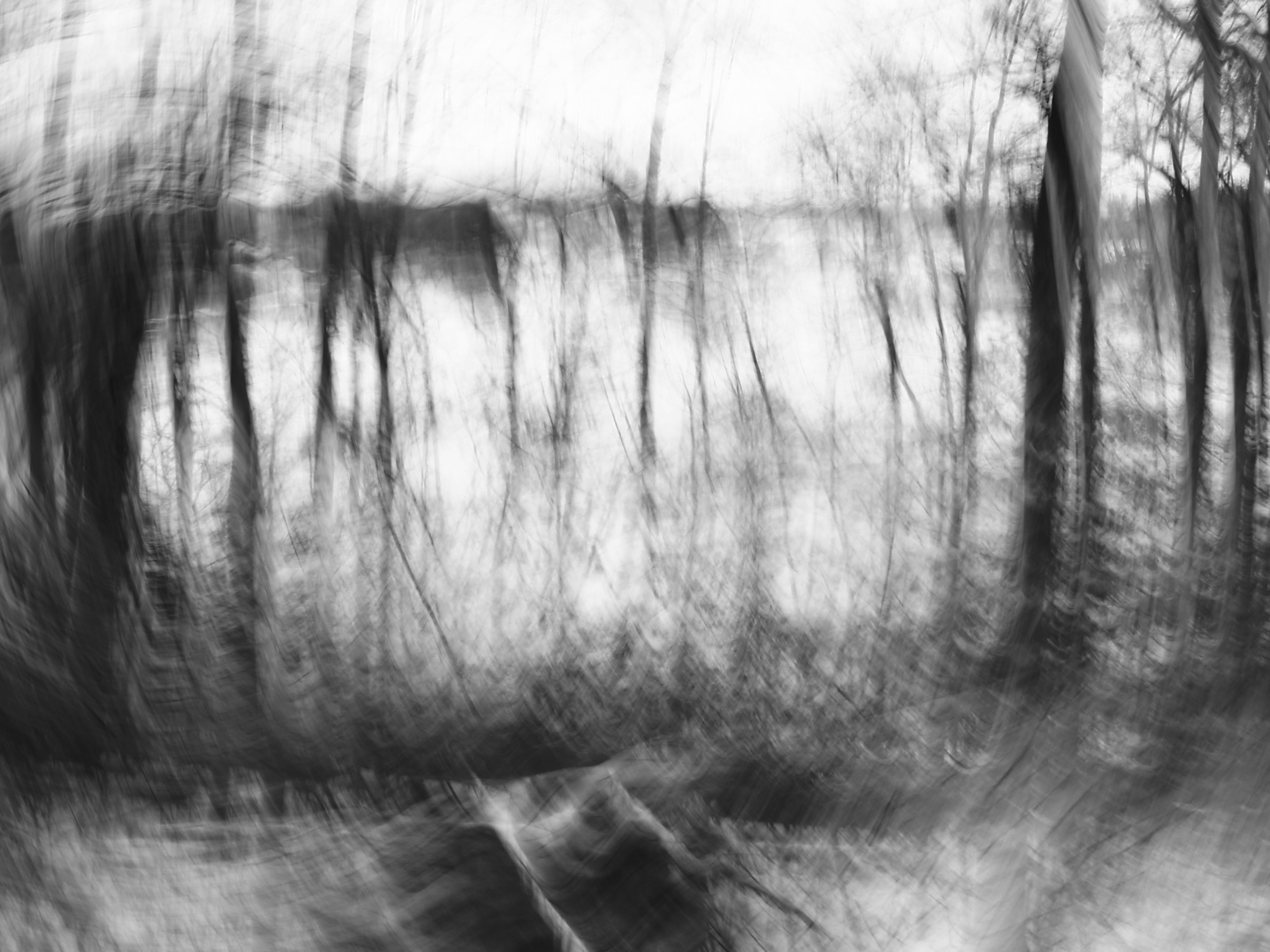 Olga Karlovac Wannabe by Julie Duncan · 365 Project