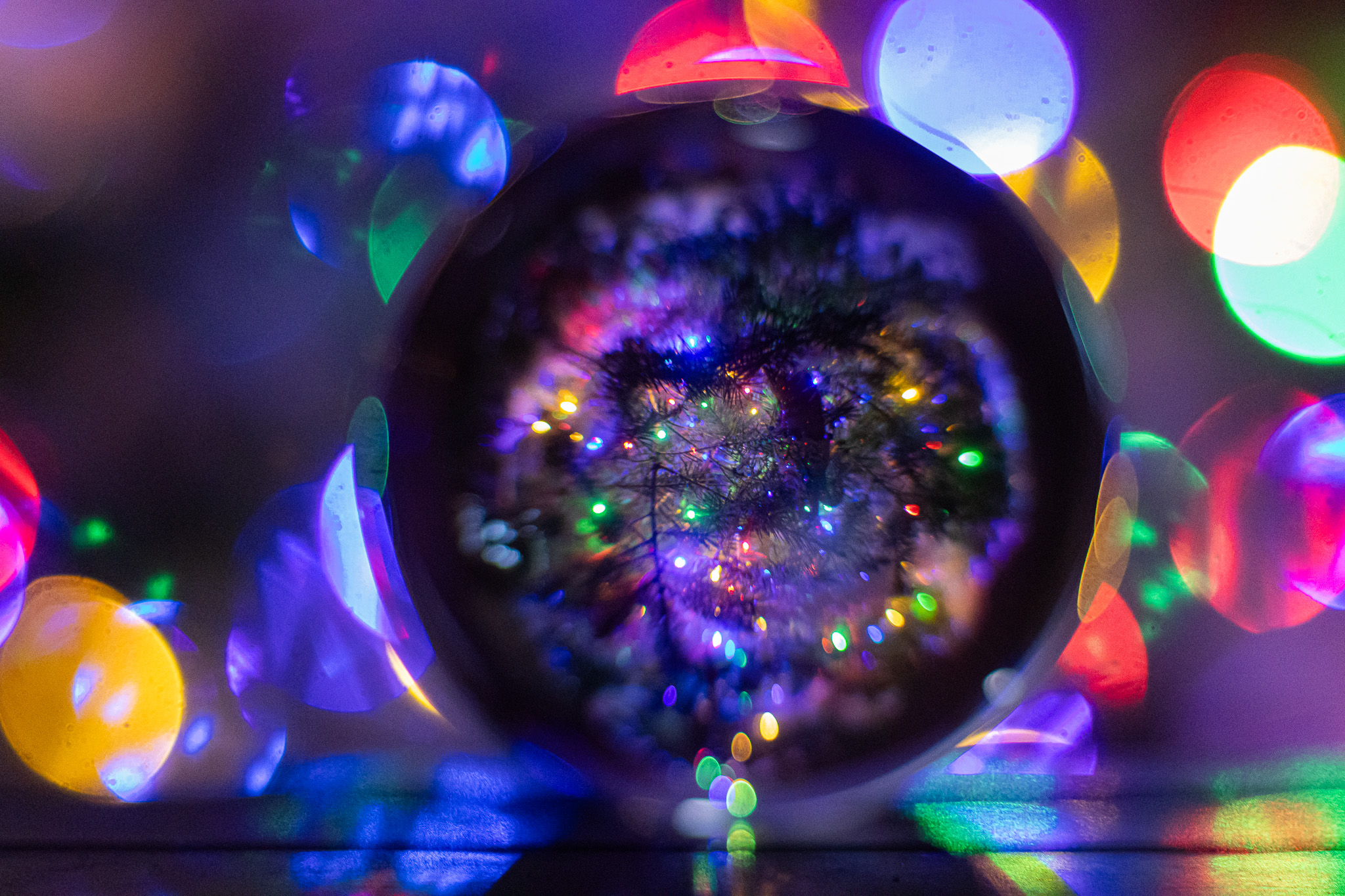 Christmas lights by April · 365 Project