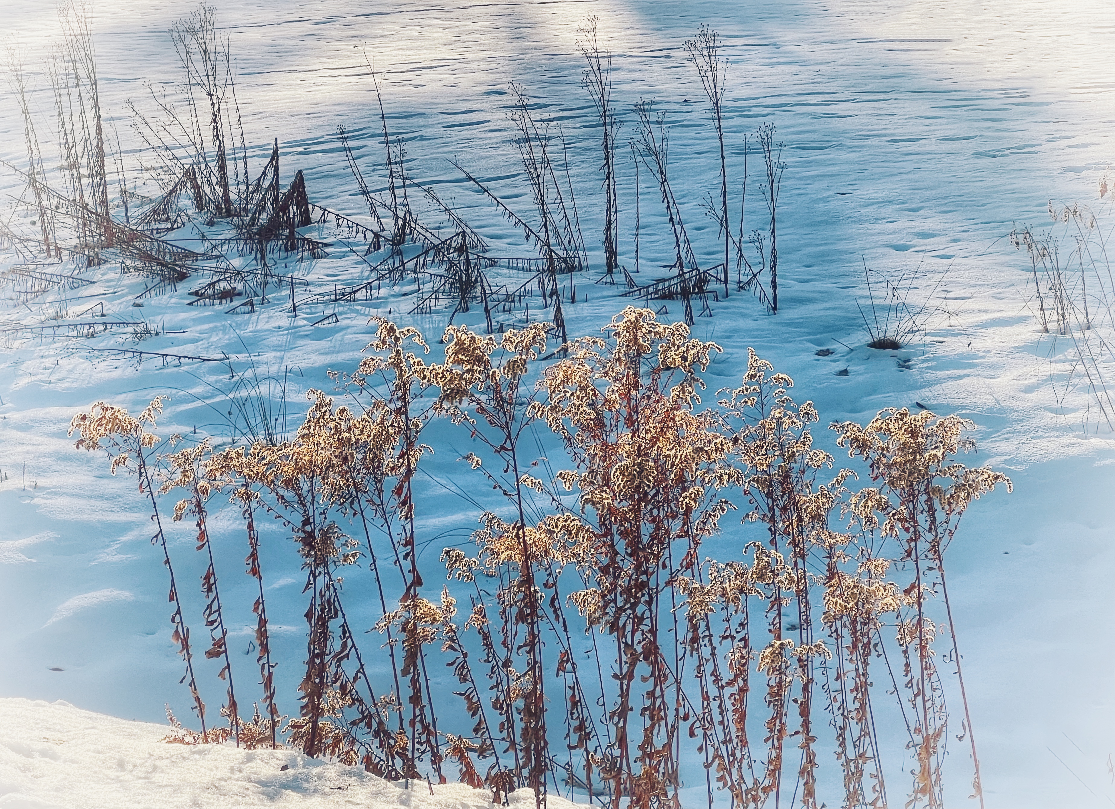 19december by amyK · 365 Project