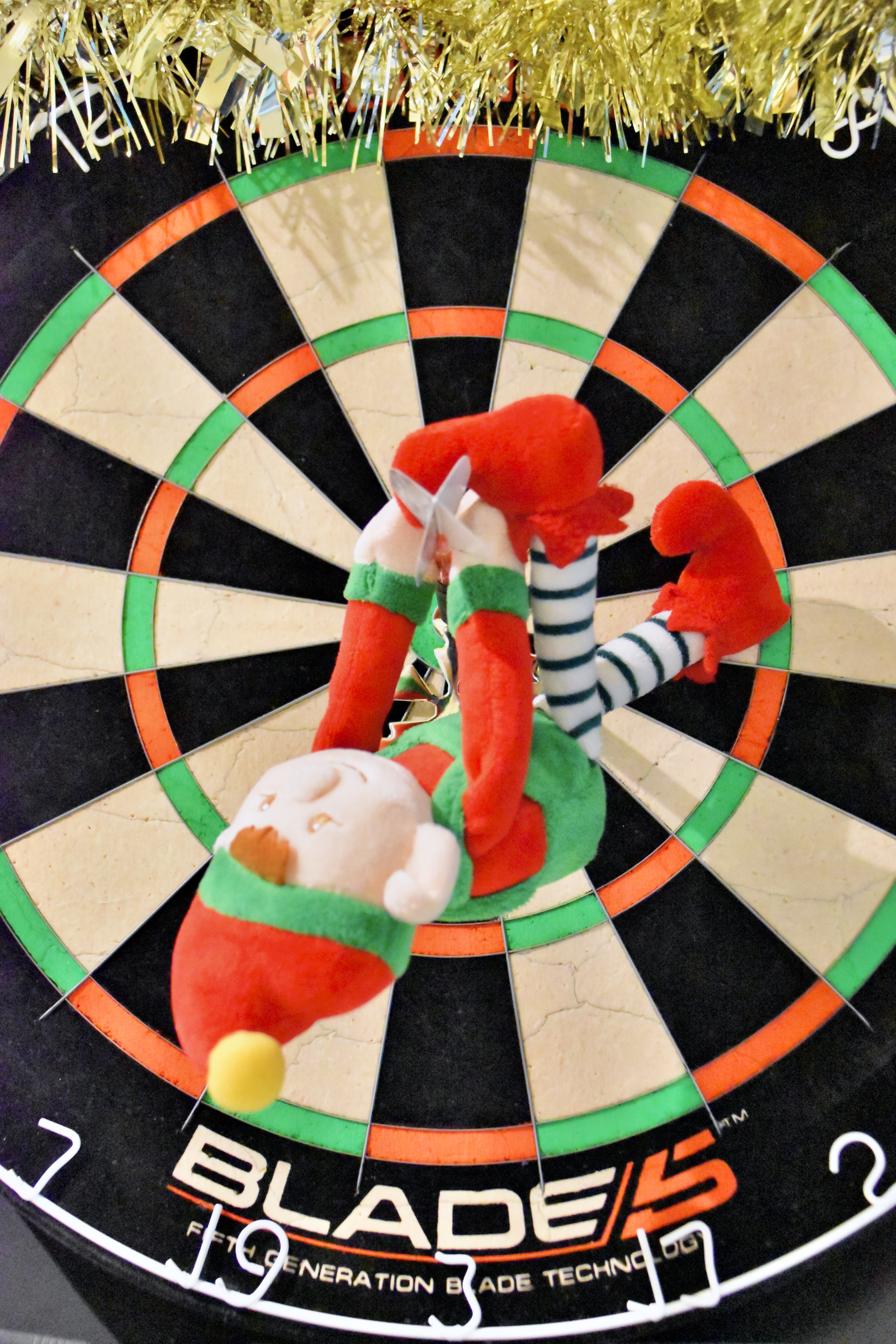 Sprig has a point by Casablanca 🇬🇧 · 365 Project