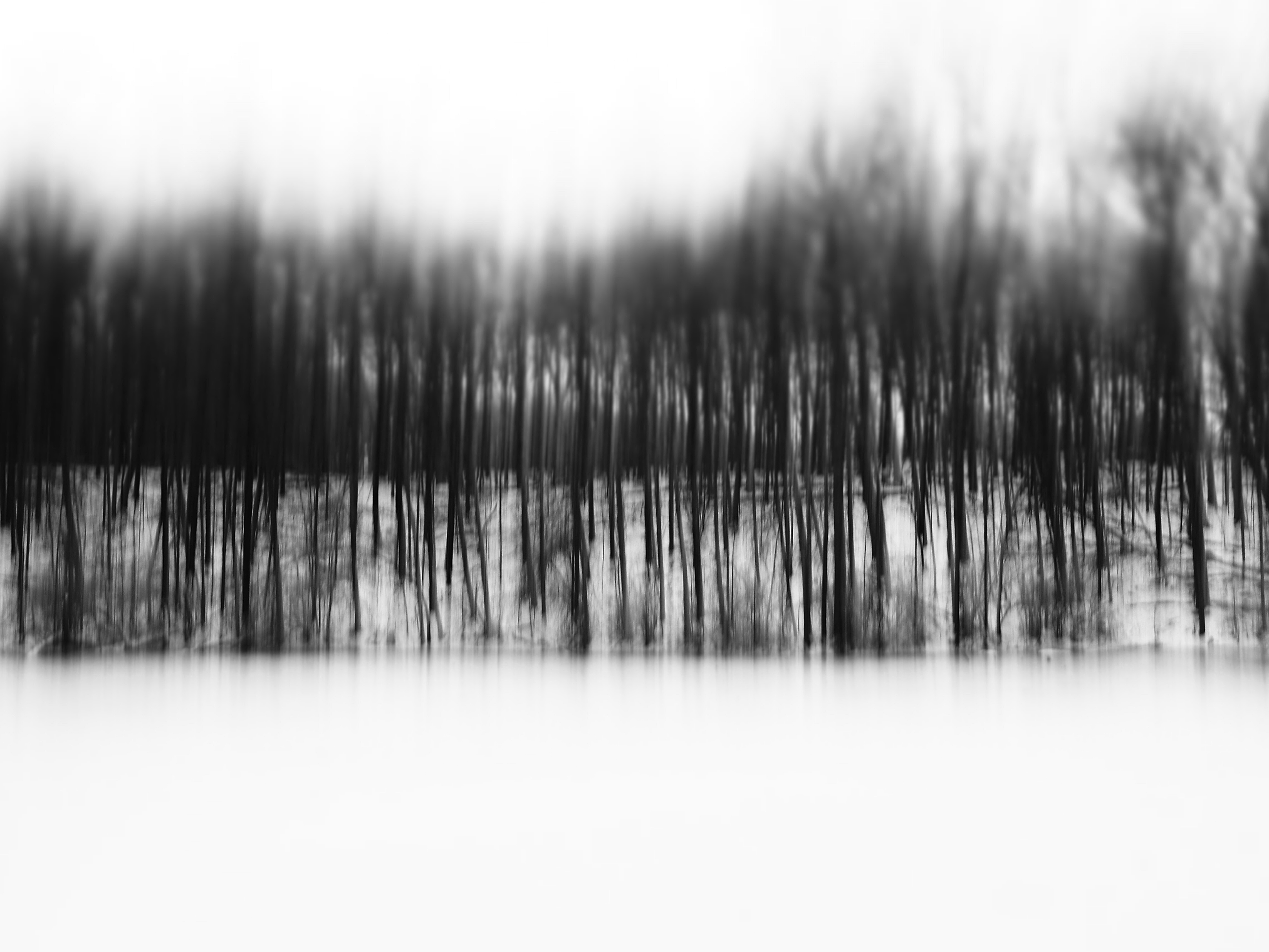 Walking on Water by Julie Duncan · 365 Project