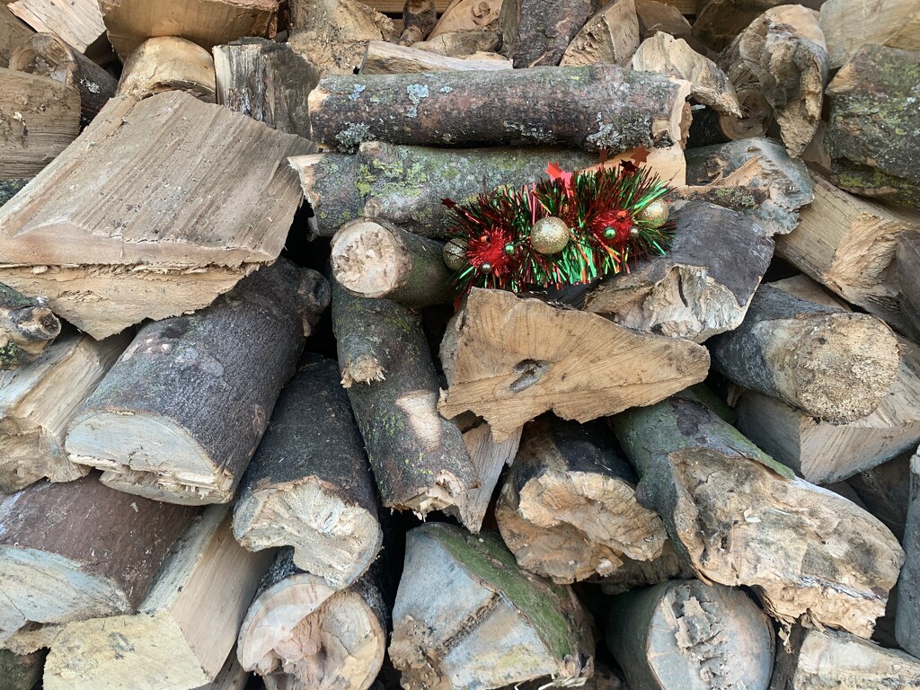 Festive logs by Pat Knowles · 365 Project