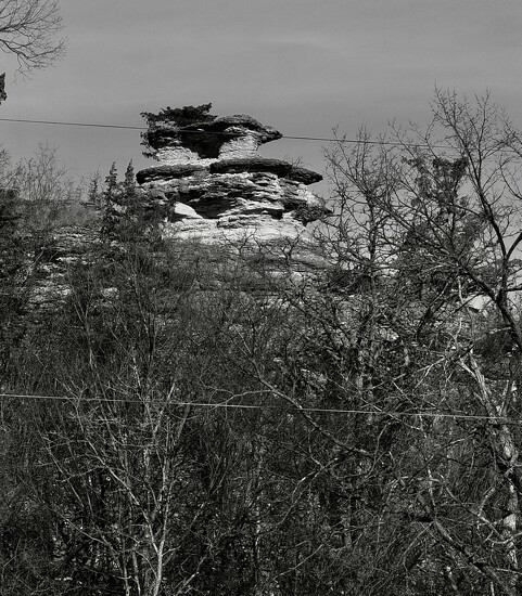 Winter walks by Vanessa · 365 Project