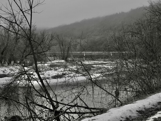 Another gray day by Vanessa · 365 Project