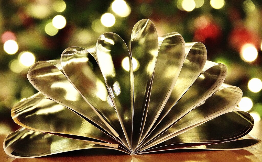 Lights & Patterns by Carole Sandford · 365 Project