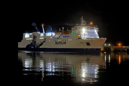 Morning Arrival by Richard Lewis · 365 Project