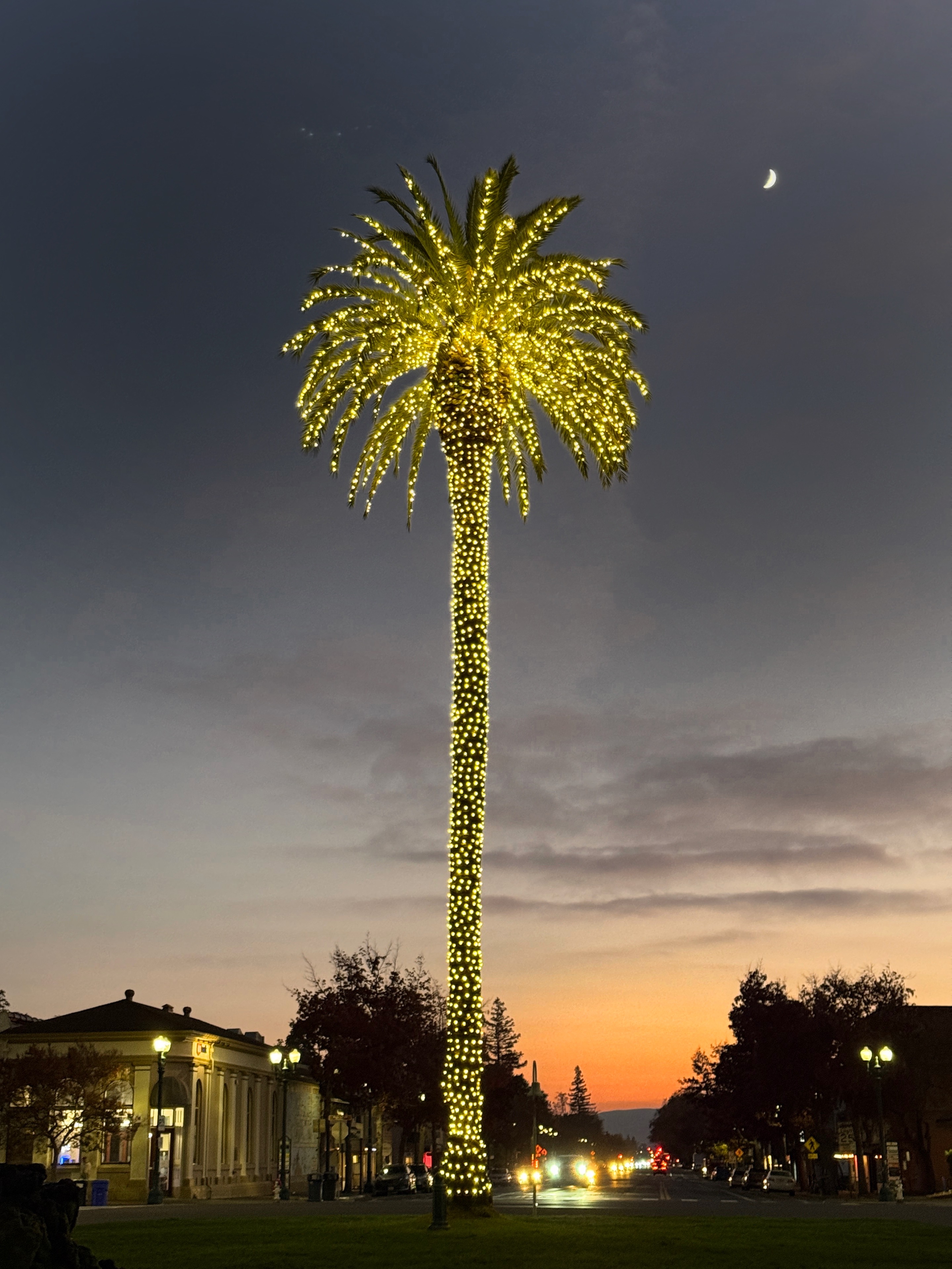 I took this in Sonoma by Shutterbug · 365 Project