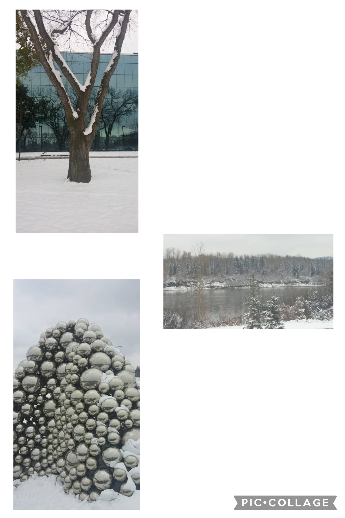 Year In Review November 2025 by bkb in the city · 365 Project