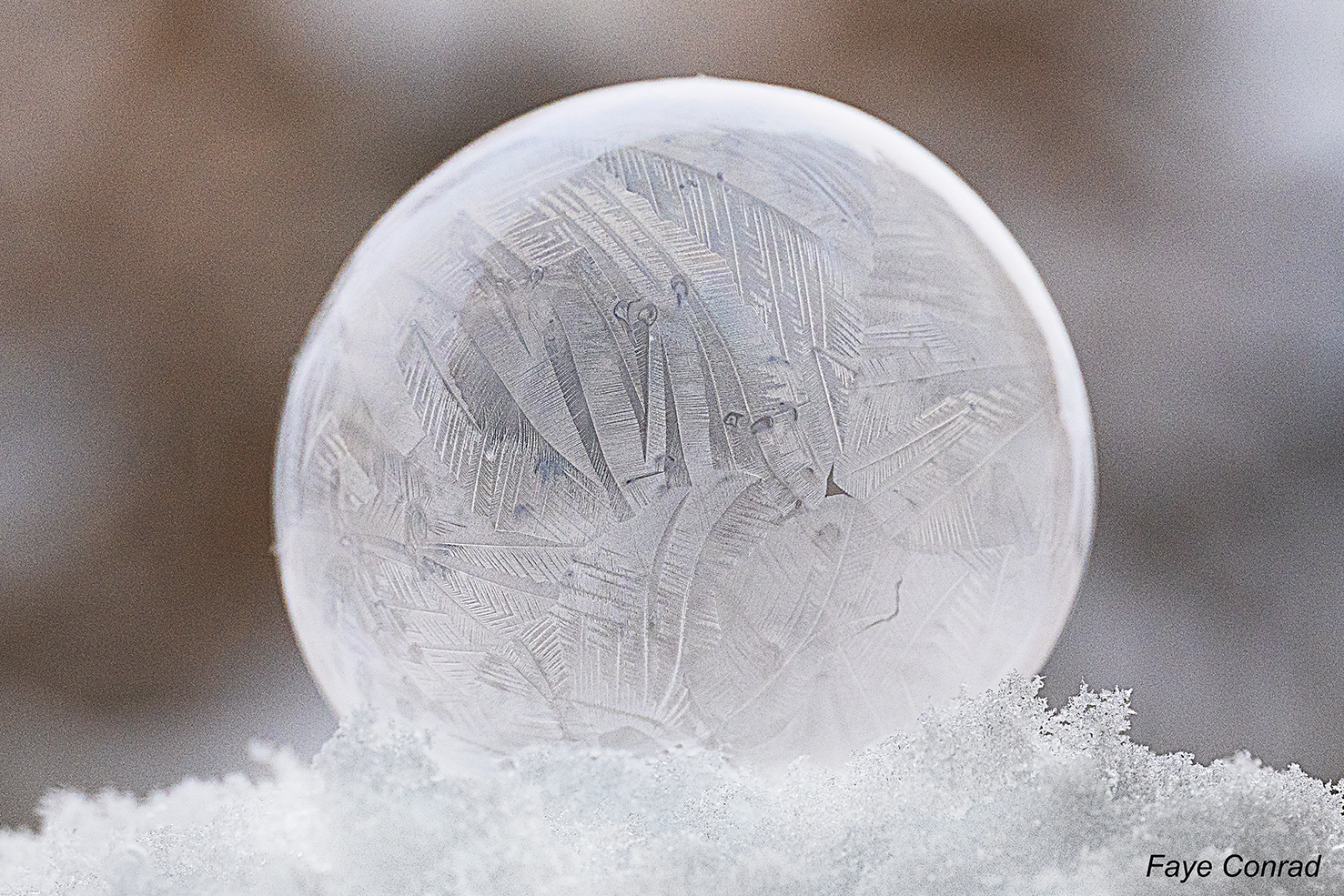 -17 by Faye Turner · 365 Project