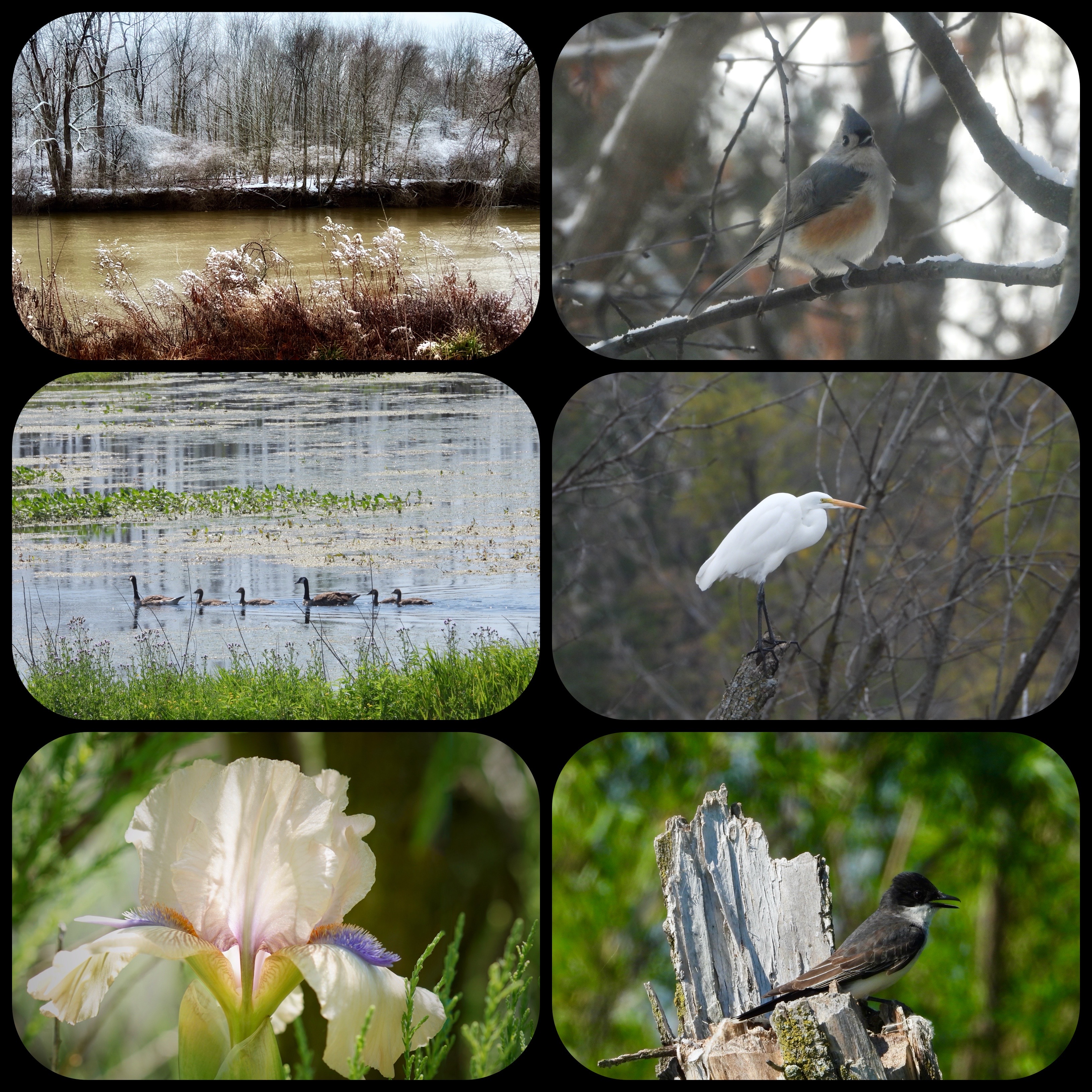 the first six by amyK · 365 Project