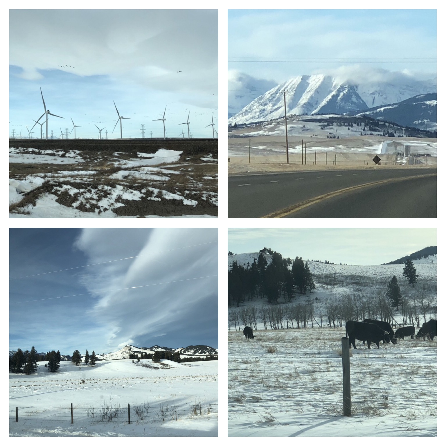 Winter Mountain Scene by Susan Klassen · 365 Project