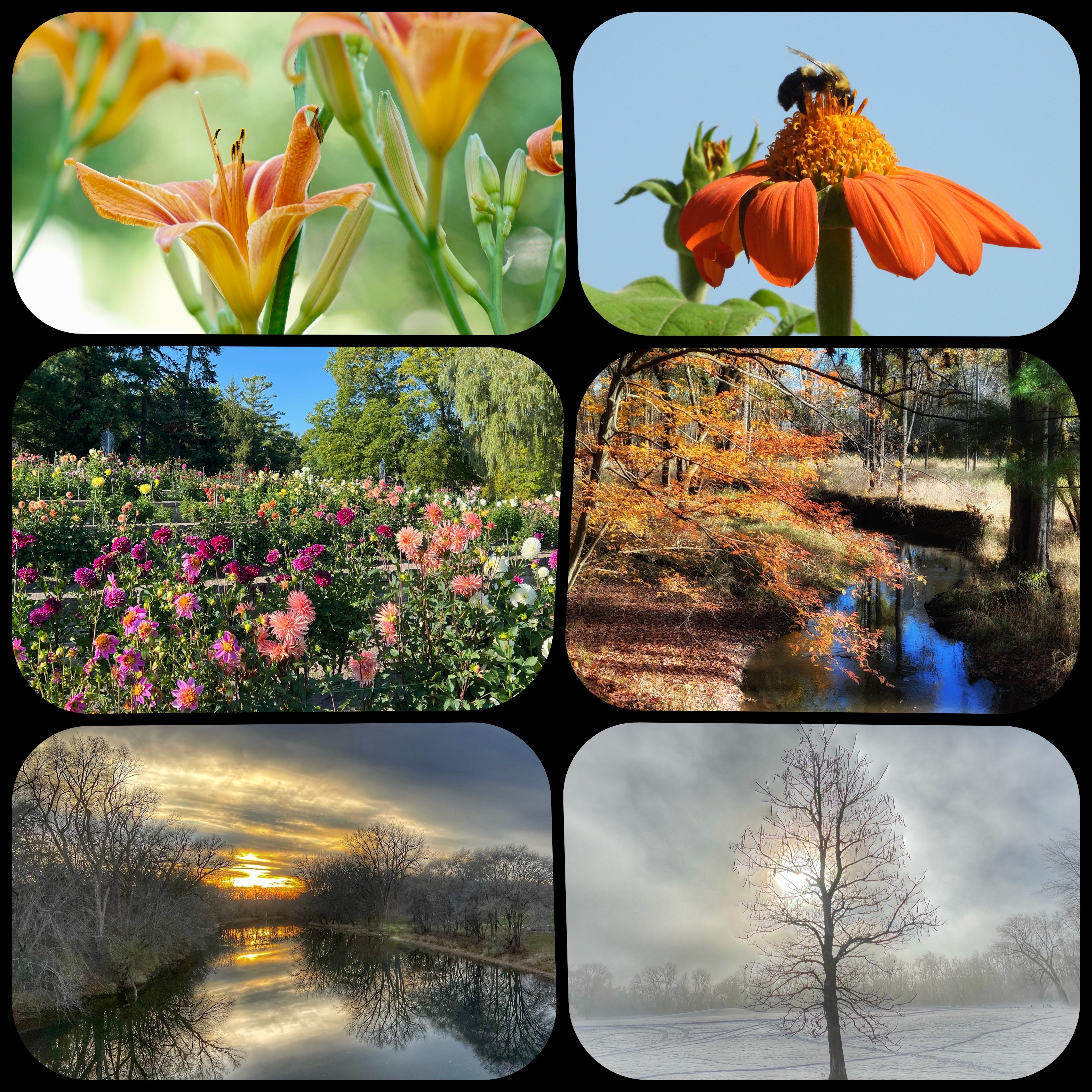 the last six by amyK · 365 Project