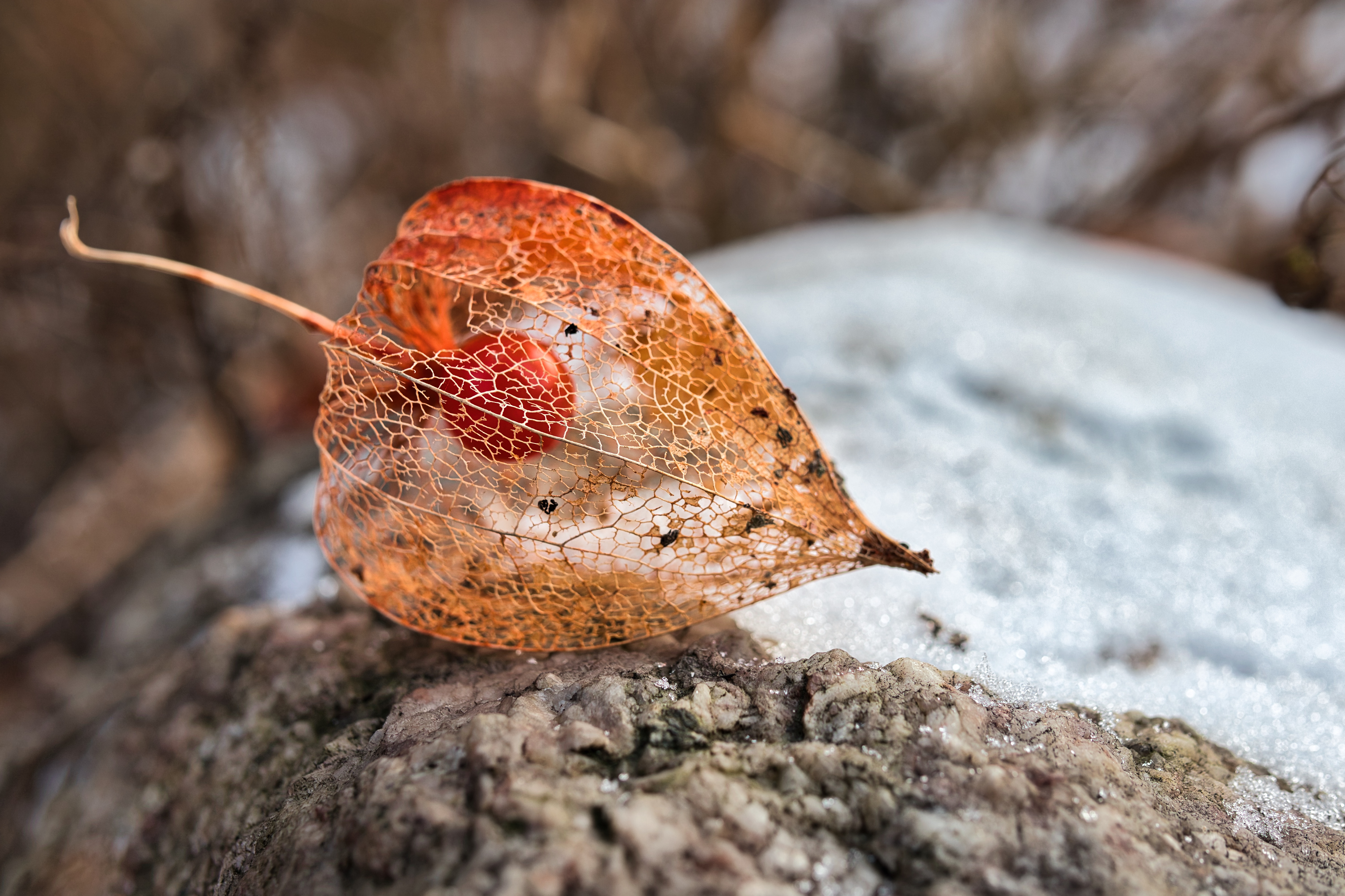 Still intact by Ole Kristian Valle · 365 Project