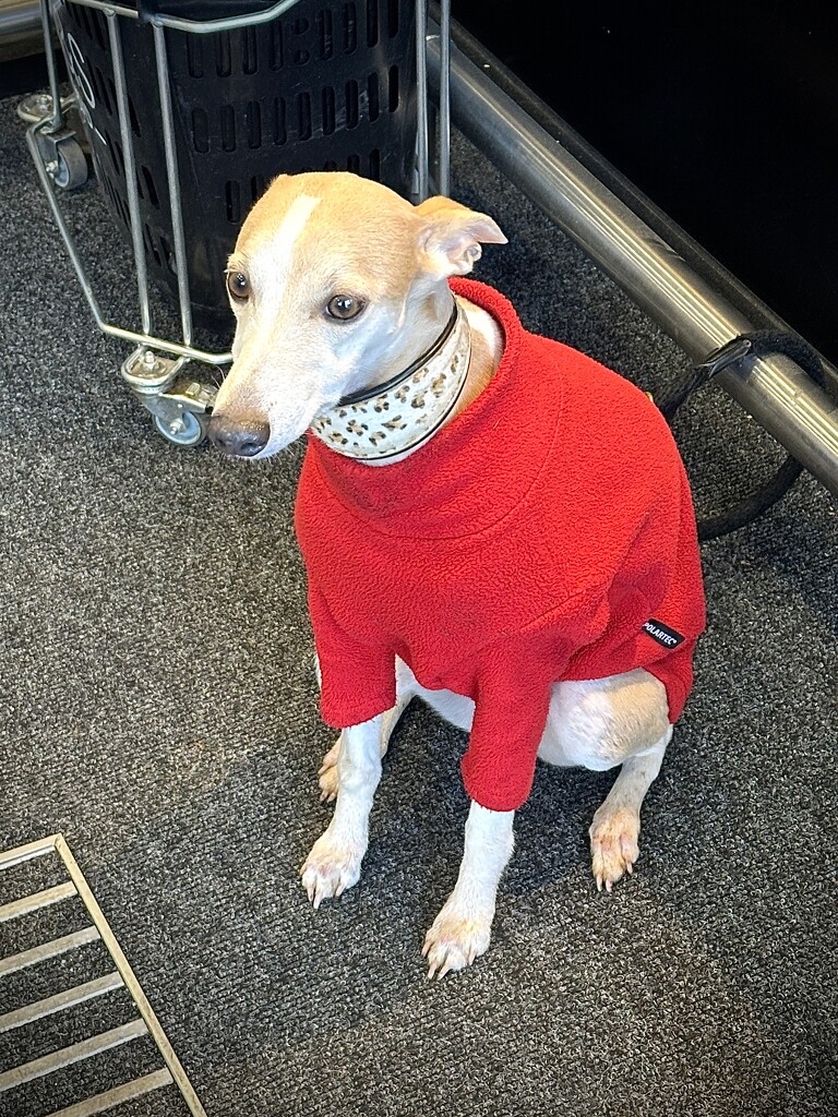 31st December 2025 by Emma Durnford · 365 Project