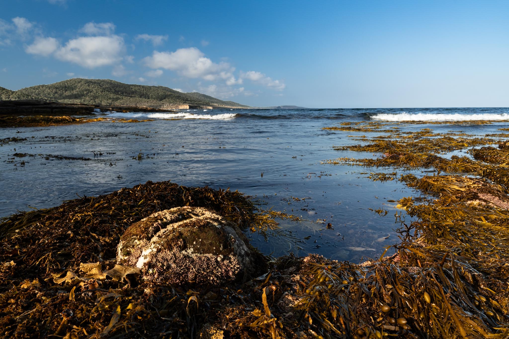 The edge of the ocean by Wylie · 365 Project