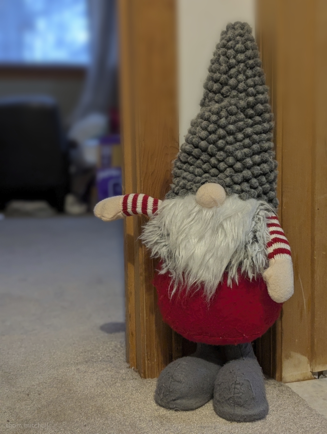 We like our gnomes! by Thom Mitchell · 365 Project