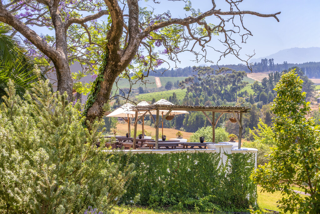 A side view of the wine tasting patio, by Diana · 365 Project