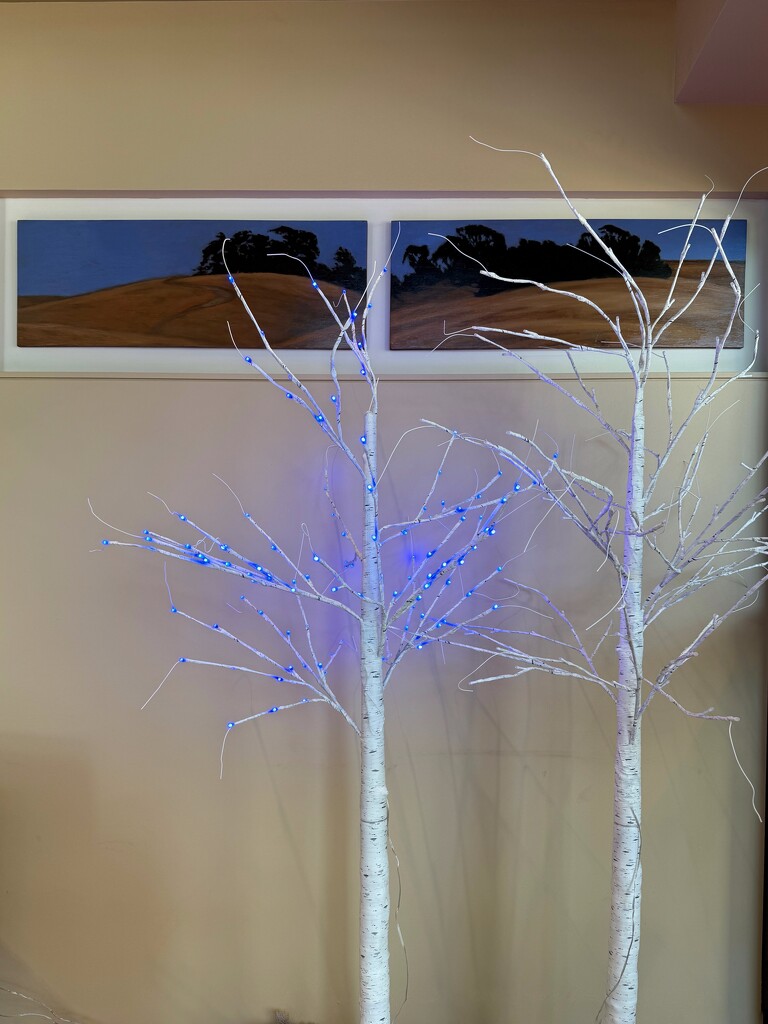 Optometry Decoration by Shutterbug · 365 Project