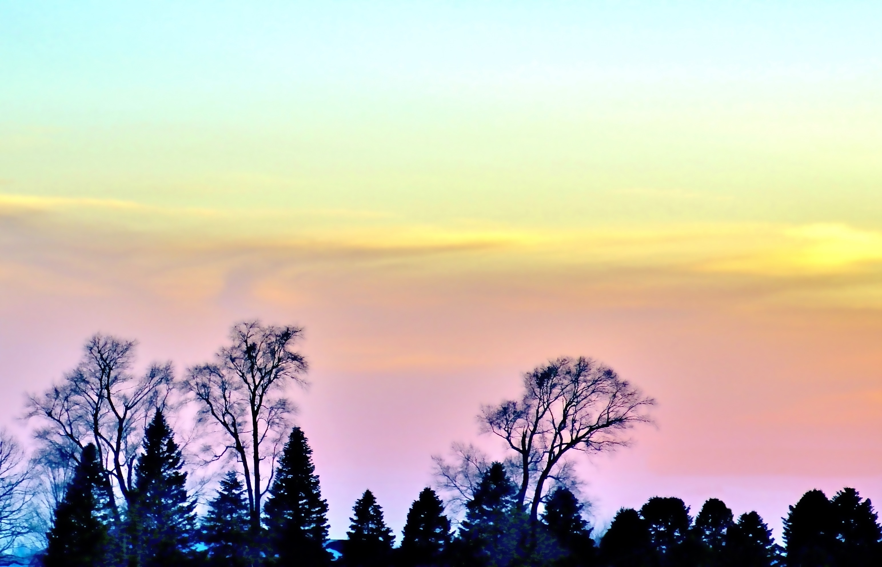 Winter Sky by *lynn · 365 Project