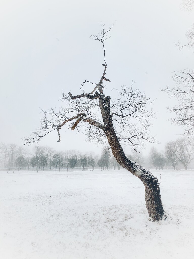 18january by amyK · 365 Project