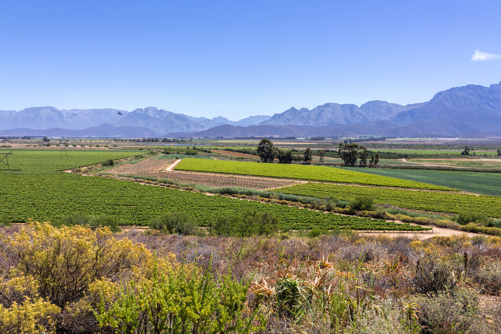 The Langeberg mountain range by Diana · 365 Project