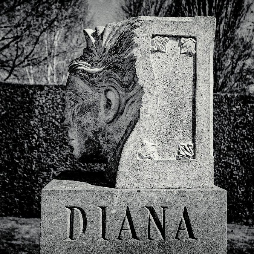 Diana by Andrew-Bede Allsop · 365 Project