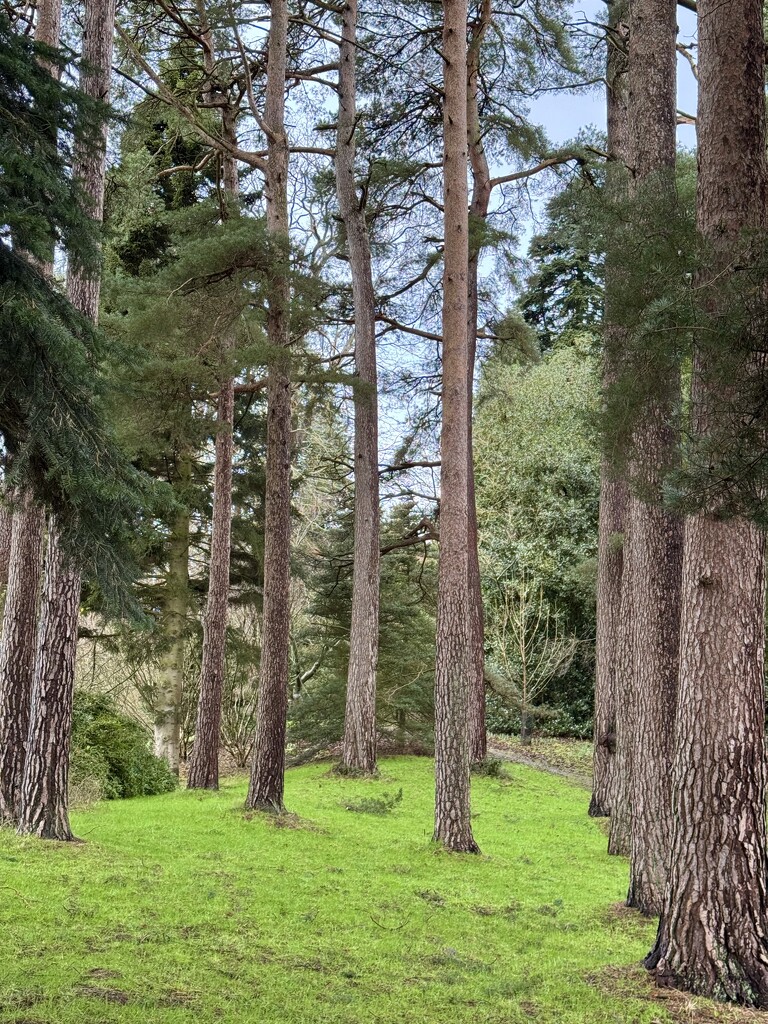 It's good to get out in the fresh air..... by Sue Cooper · 365 Project