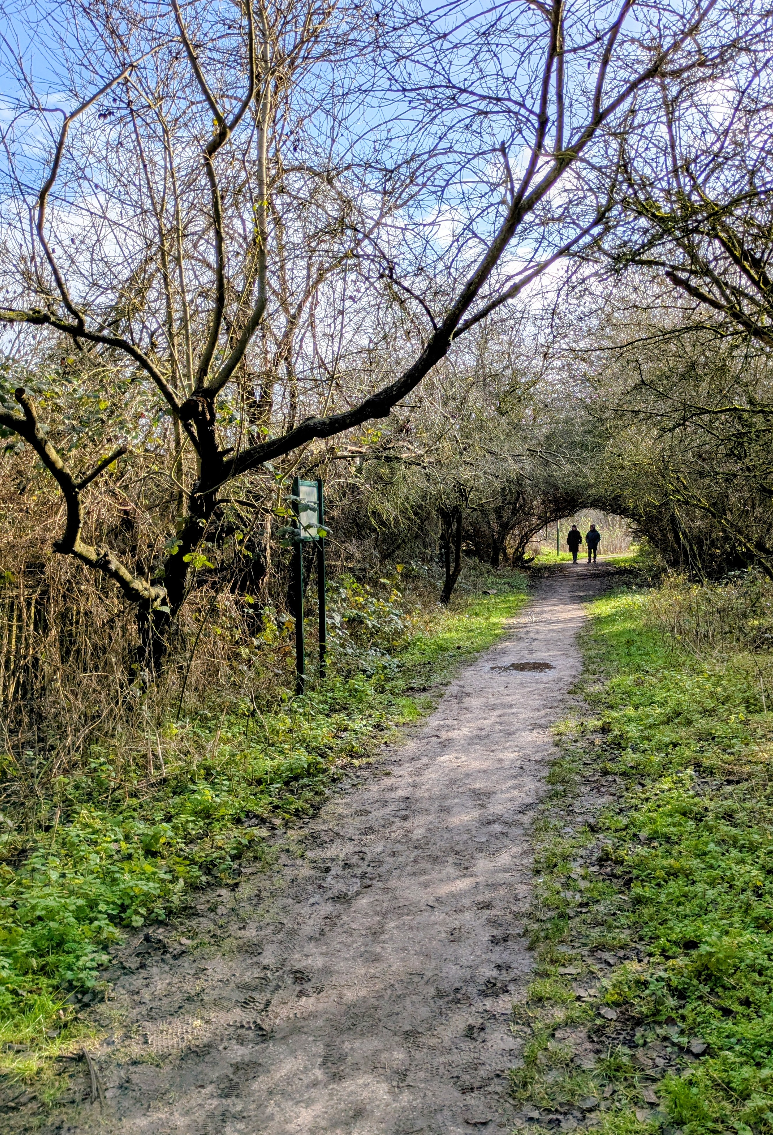 The Paddock by Boxplayer · 365 Project