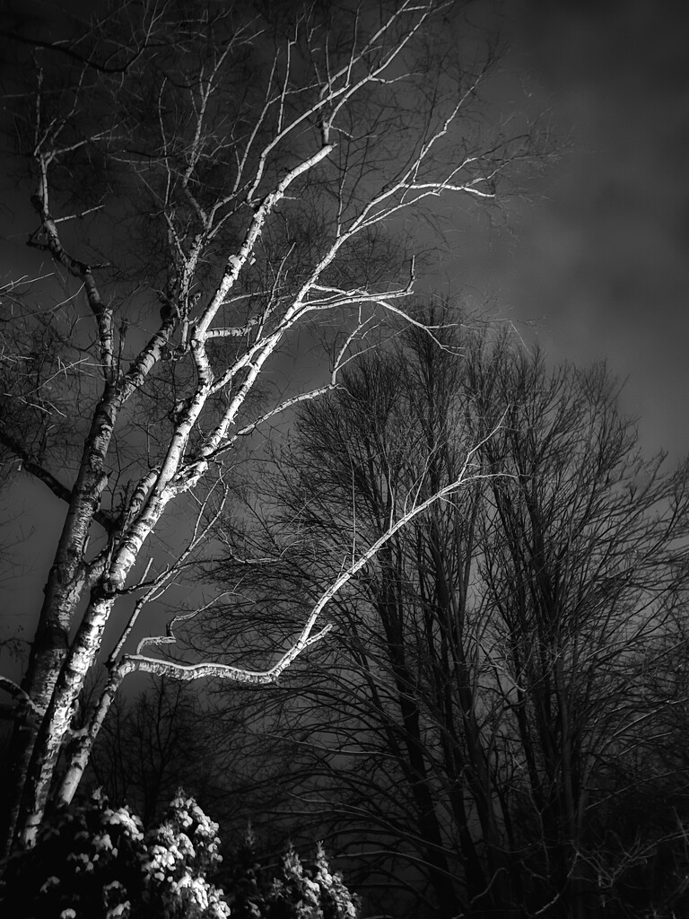 day3 by amyK · 365 Project