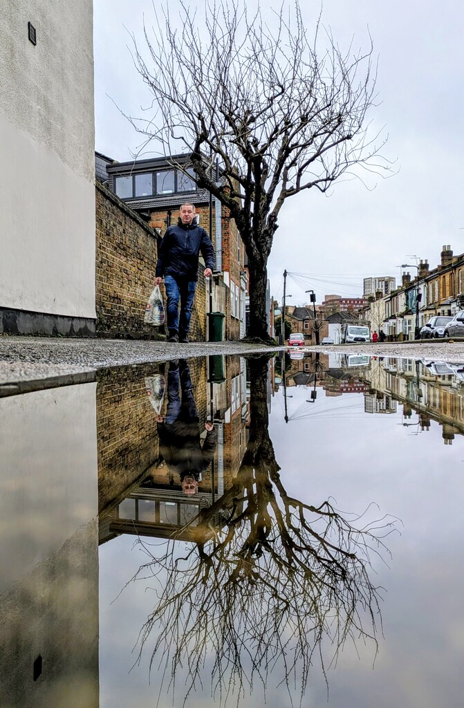 Winter tree reflection by Boxplayer · 365 Project