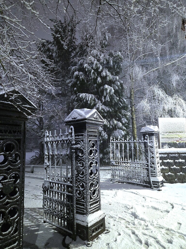 The entrance into the Park. by Beryl Lloyd · 365 Project