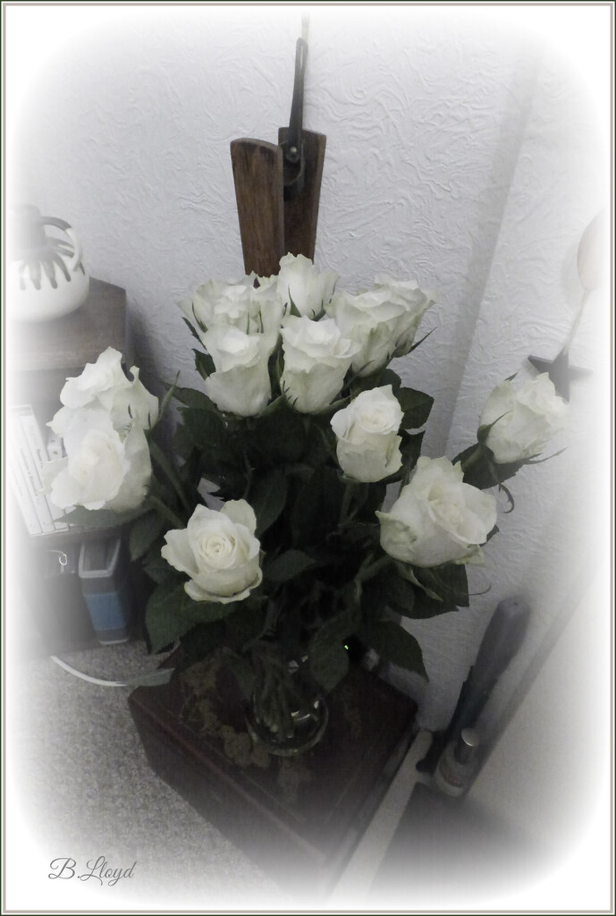 Just a bunch of Roses by Beryl Lloyd · 365 Project