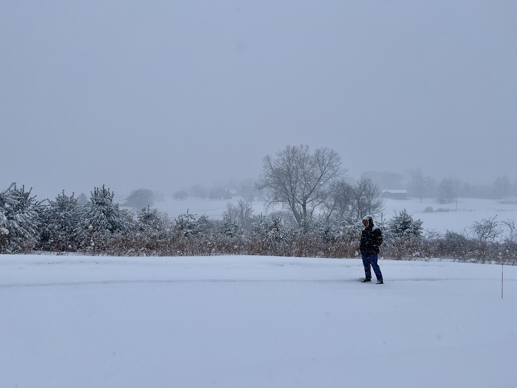 Alone by Corinne C · 365 Project