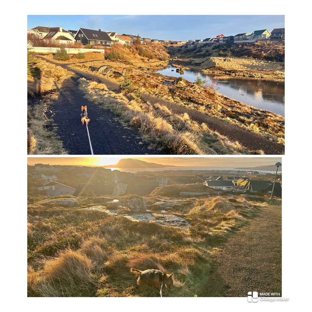 Hoyvík by Oli Lindenskov · 365 Project