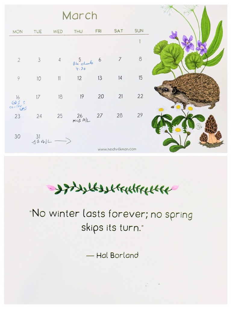 No winter lasts forever by Boxplayer · 365 Project