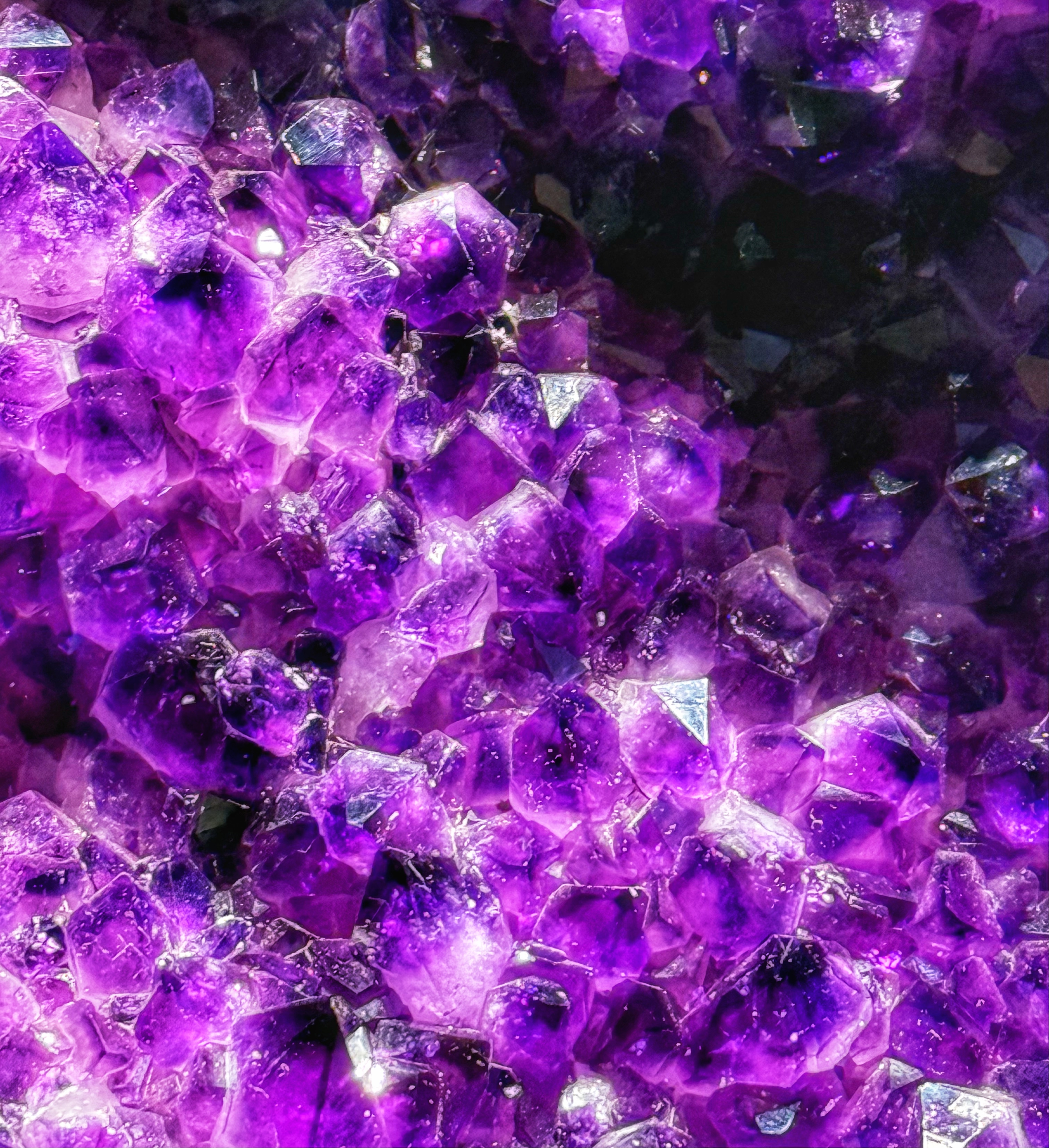 Purple Ice by Renee Salamon · 365 Project
